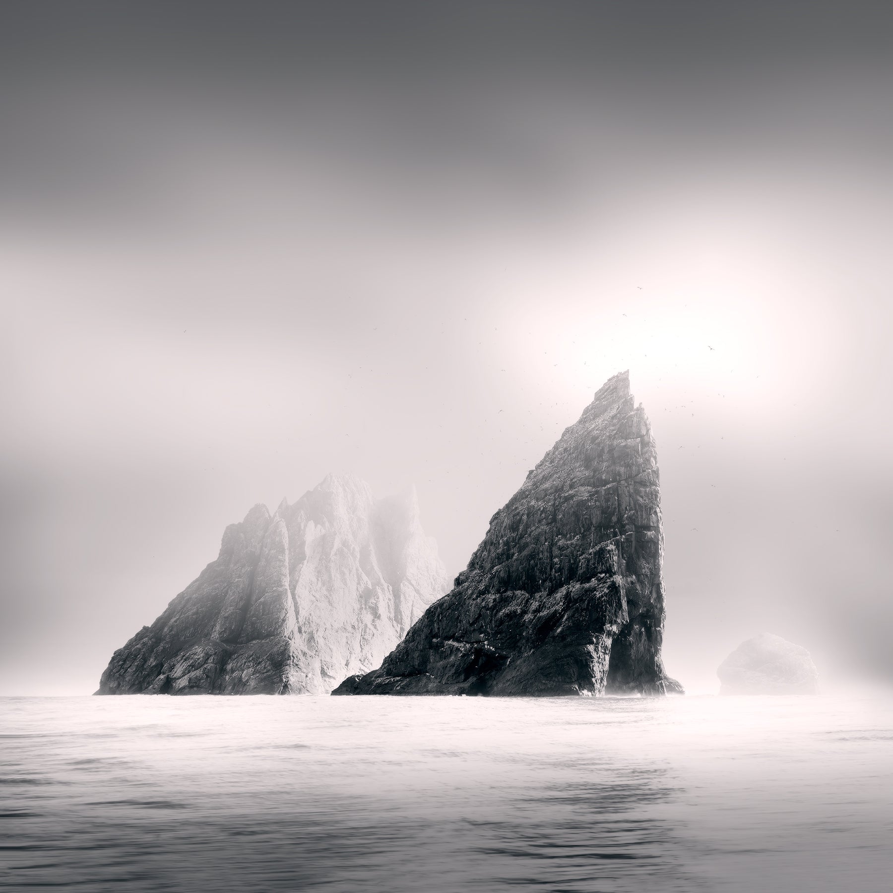 Collections – neil williams