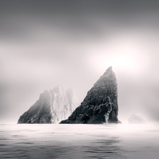 Collections – neil williams